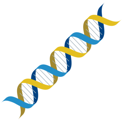 DNA-Graphical-Abstract - Scientific illustration | Inmywork