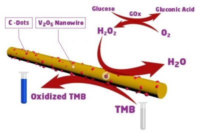 What is graphical abstract 01 - Scientific illustration | Inmywork