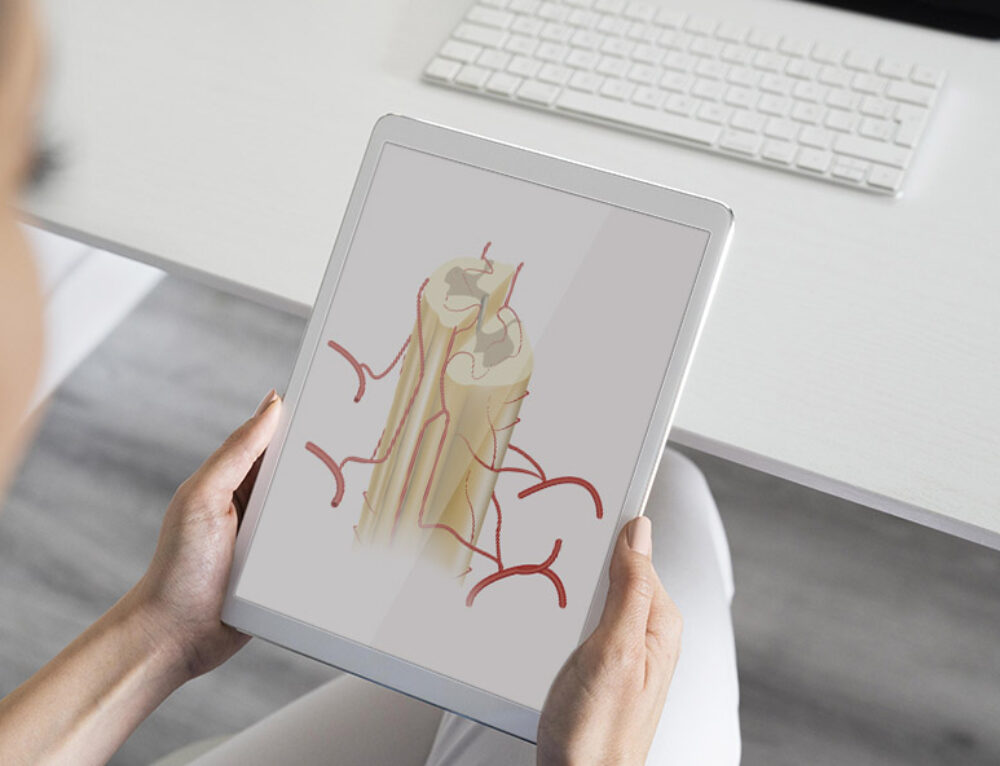 Free Graphical Abstract Maker | Scientific Illustration