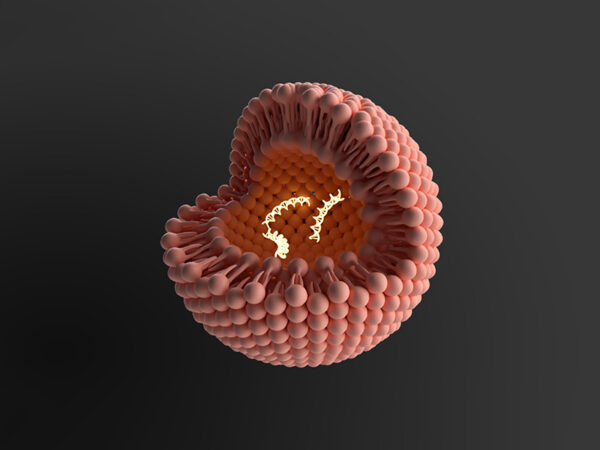 Free Graphical Abstract Maker | Scientific Illustration