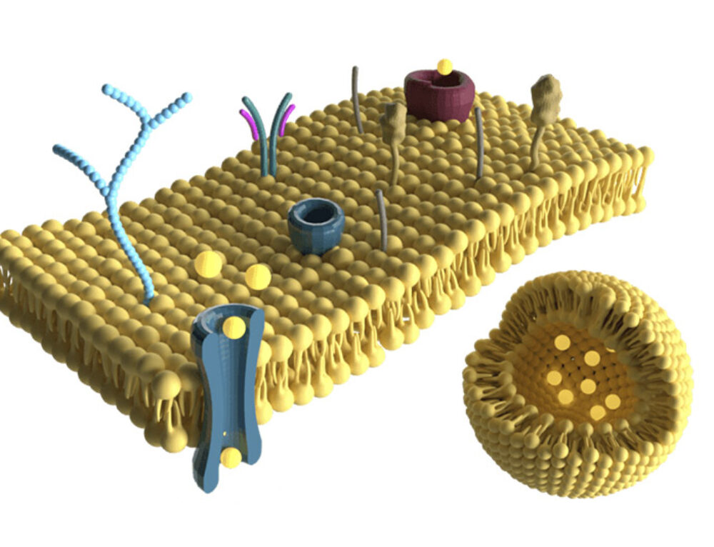 Free Graphical Abstract Maker | Scientific Illustration